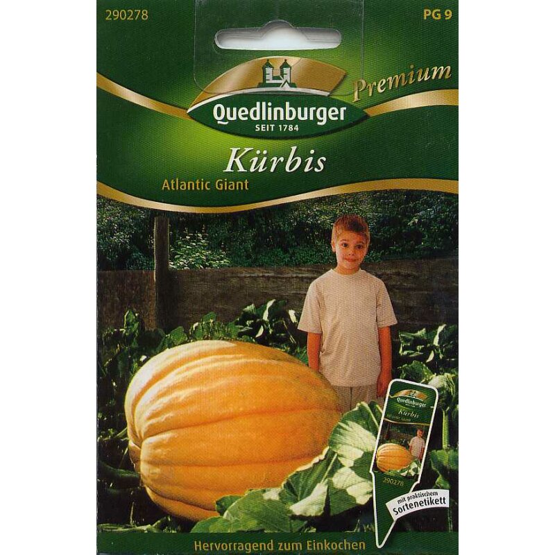 Kürbis Atlantic Giant, 3,99